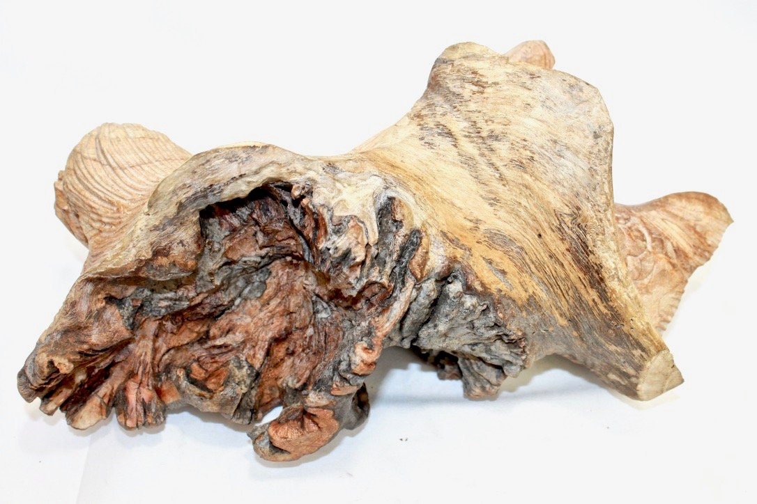 Mermaid Statue Parasite Mushroom Wood Carving Sculpture Bali | Etsy