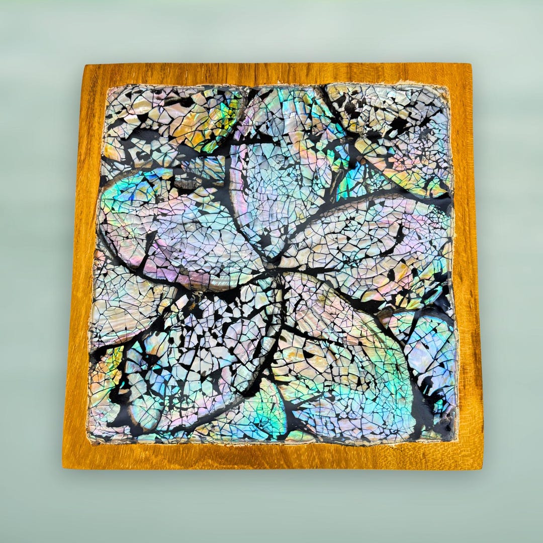 Abalone Seashell Teak Plate: Handcrafted Bali Candy Dish - Etsy