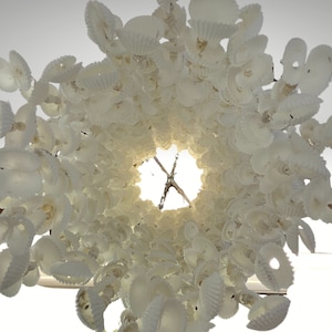 Shell Lamp Shade Pendant Natural Seashell Chandelier Bohemian Lampshade ...