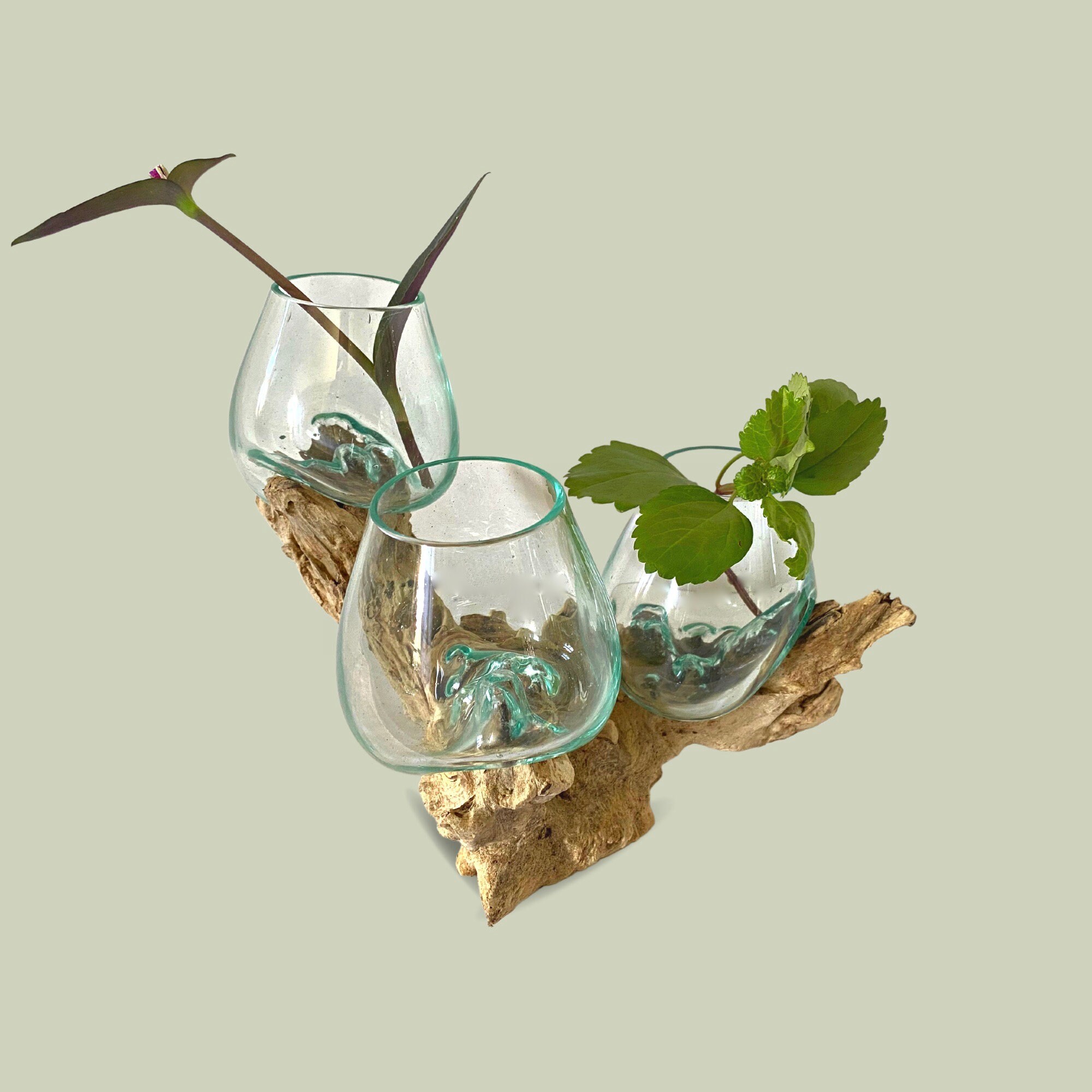 Hand Blown Glass Propagation Vase : Plant Rooter, Glass Terrarium on ...