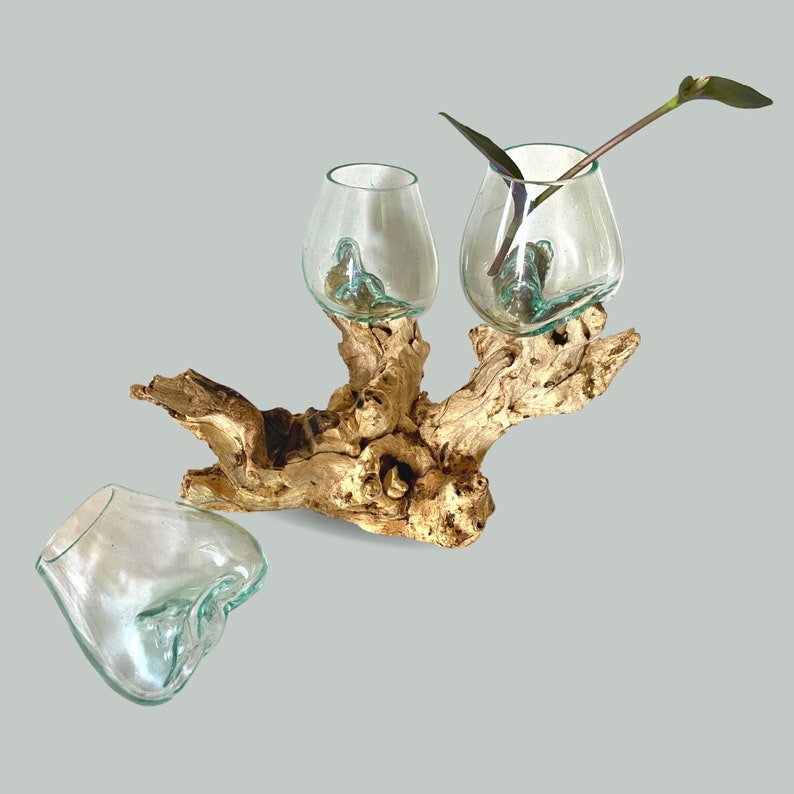 Hand Blown Glass Propagation Vase : Plant Rooter, Glass Terrarium on ...