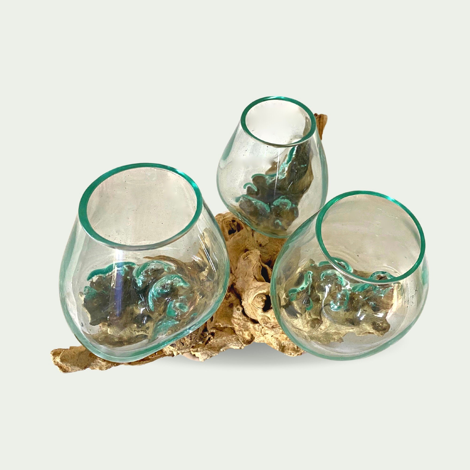 Hand Blown Glass Propagation Vase : Plant Rooter, Glass Terrarium on ...