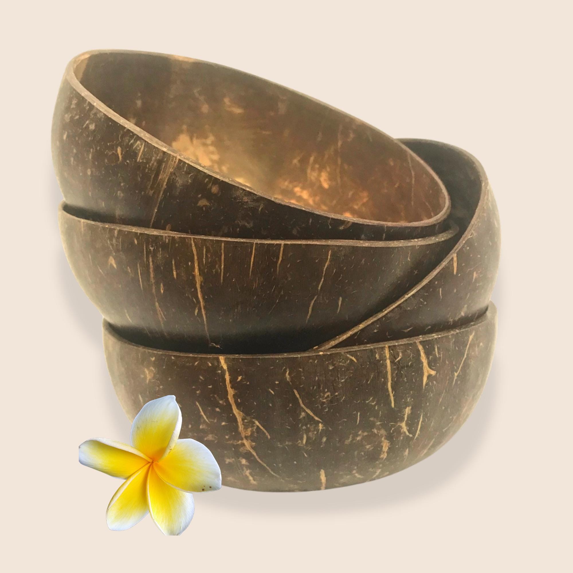 Handcrafted Coconut Shell Bowl: Eco-friendly Vegan Tableware - Etsy