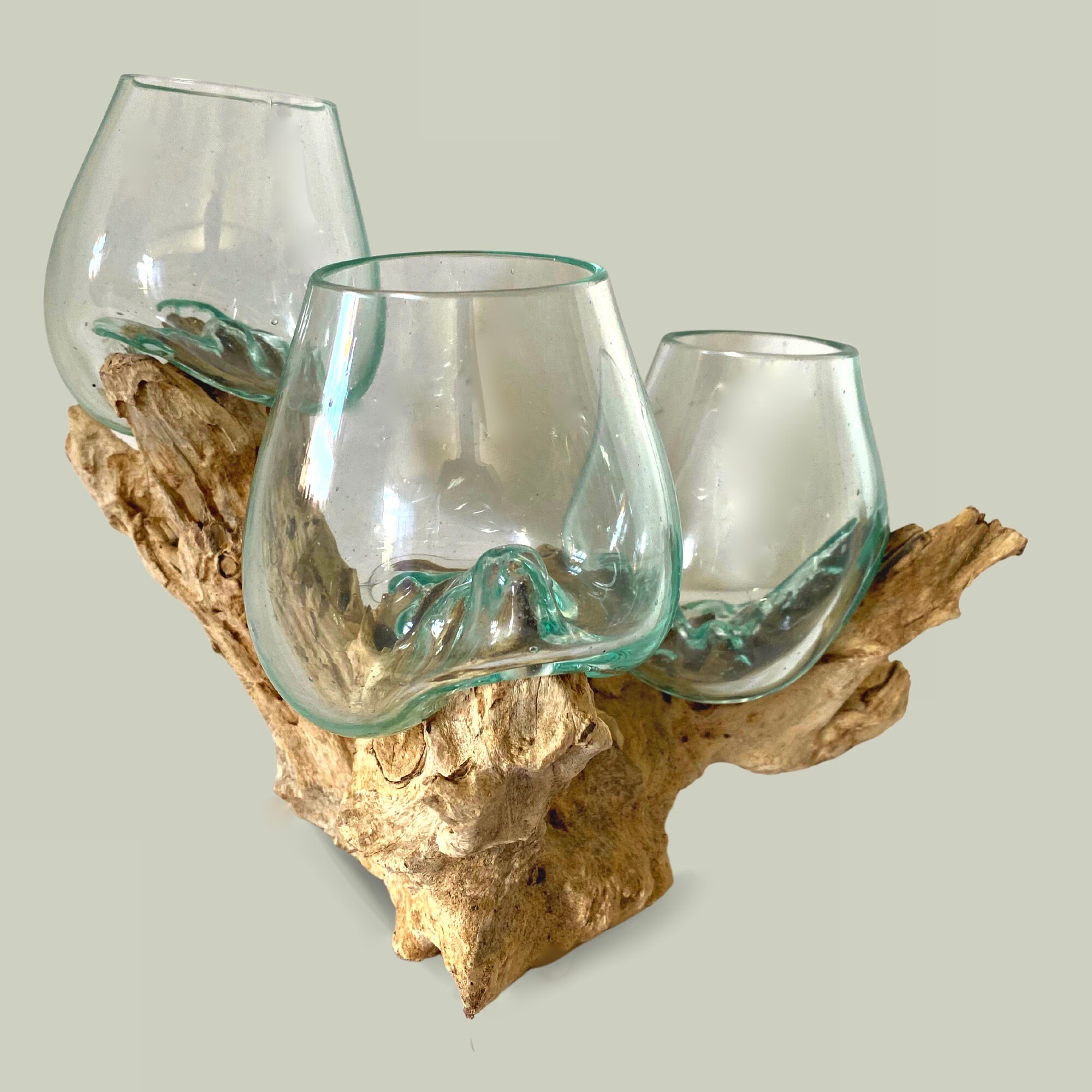 Hand Blown Glass Propagation Vase : Plant Rooter, Glass Terrarium on ...
