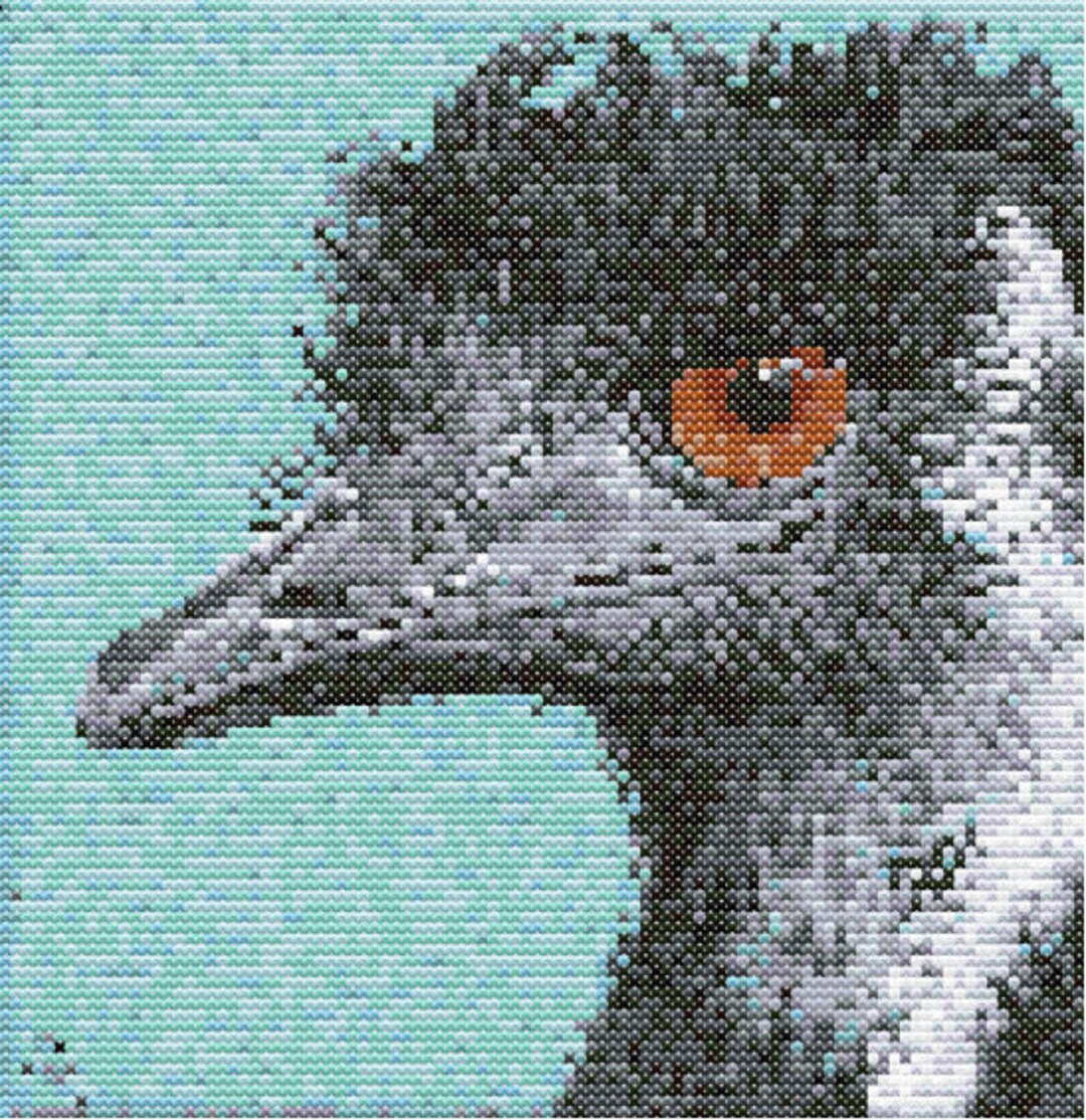 Duke Emu, Cross Stitch Pattern - Etsy