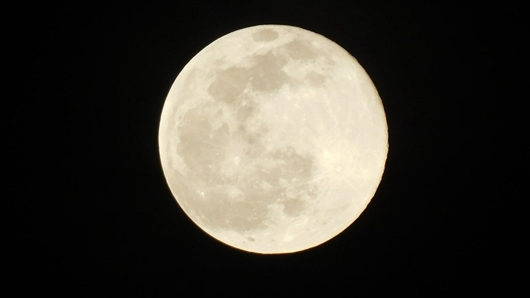 Full Moon Fever - Etsy