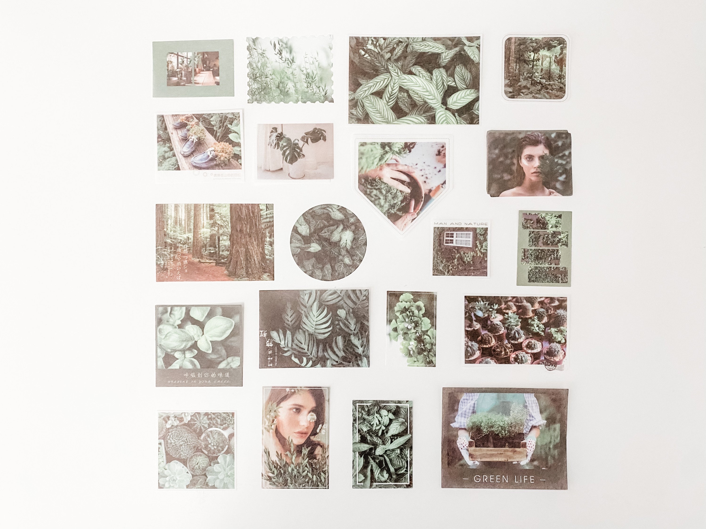 SF02 Botanical leaves leaf nature scenes stickers greenery | Etsy