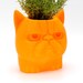 Grumpy Cat 3D Printed Planter – Funny Succulent Pot, Made in the USA - Etsy