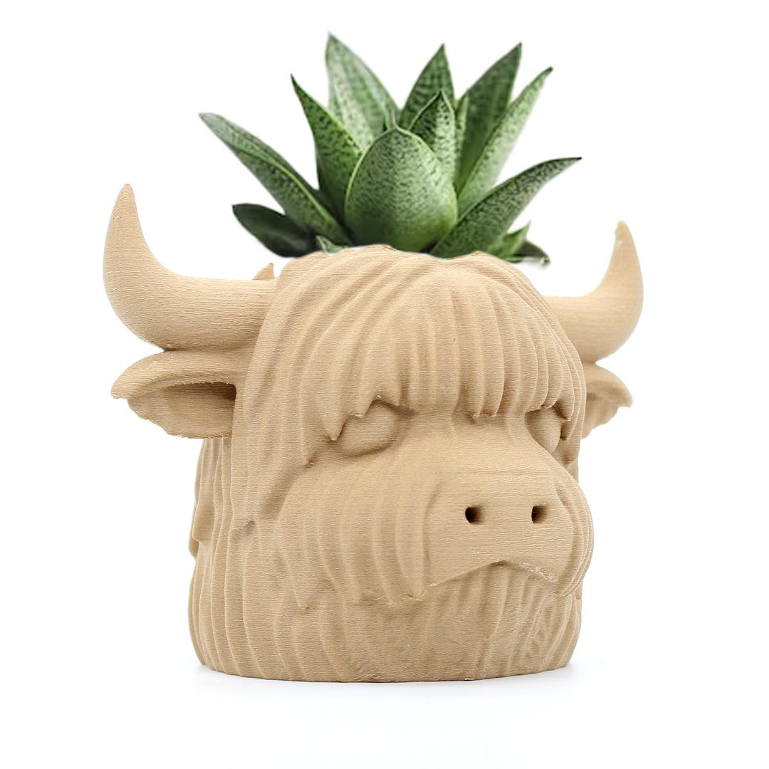 Rustic Highland Cow Planter – 3D Printed Succulent Pot, Model, or Ring ...
