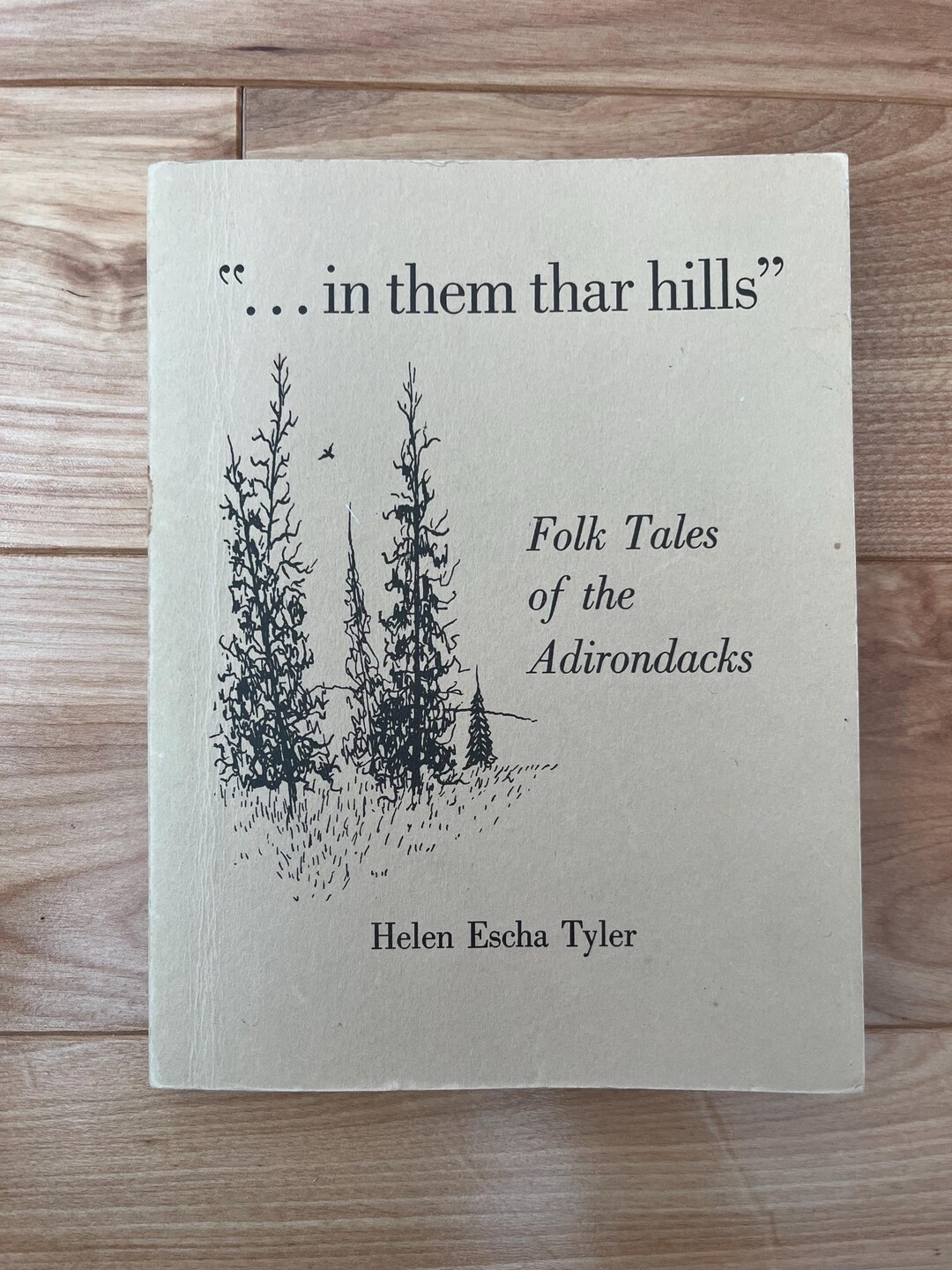 Adirondacks Folk Tales: Helen Esca Tyler, 1968 Paperback - Etsy
