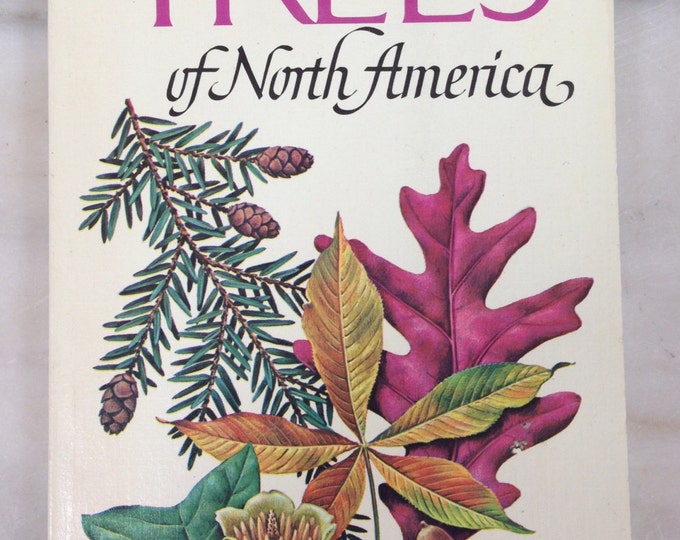 Vintage Trees of North America A Guide to Field Identification by C ...
