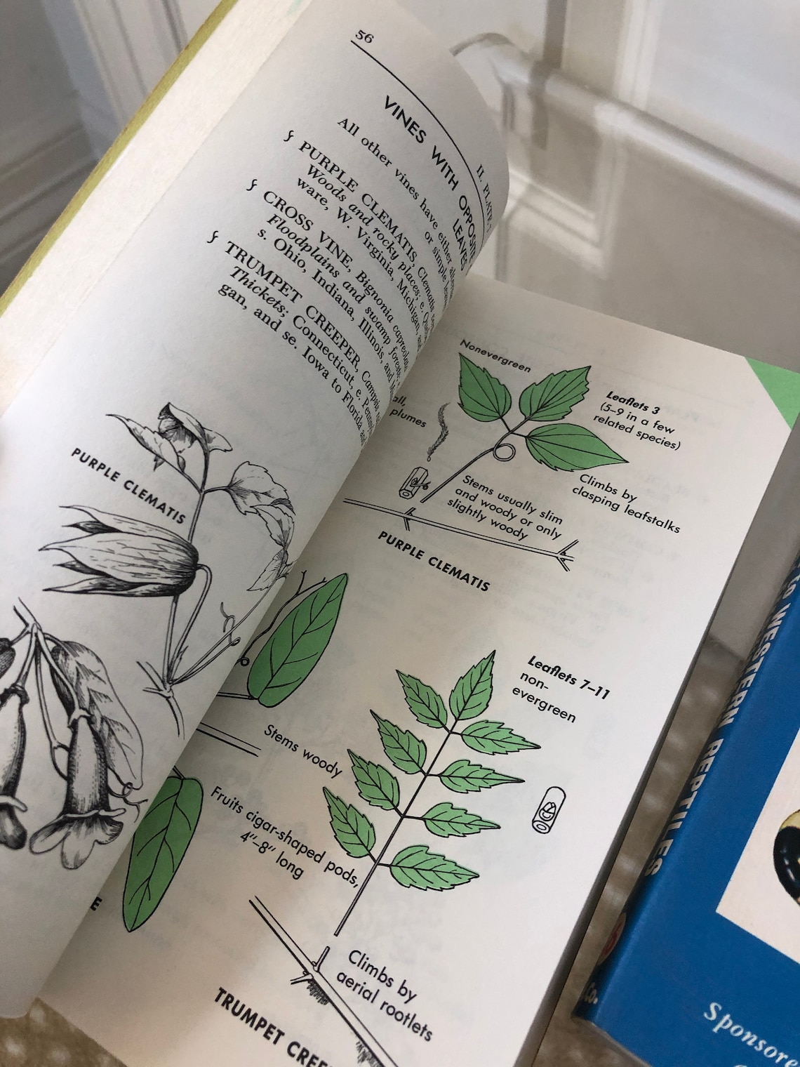 Peterson Field Guides Trees Shrubs George Petrides Westerns | Etsy