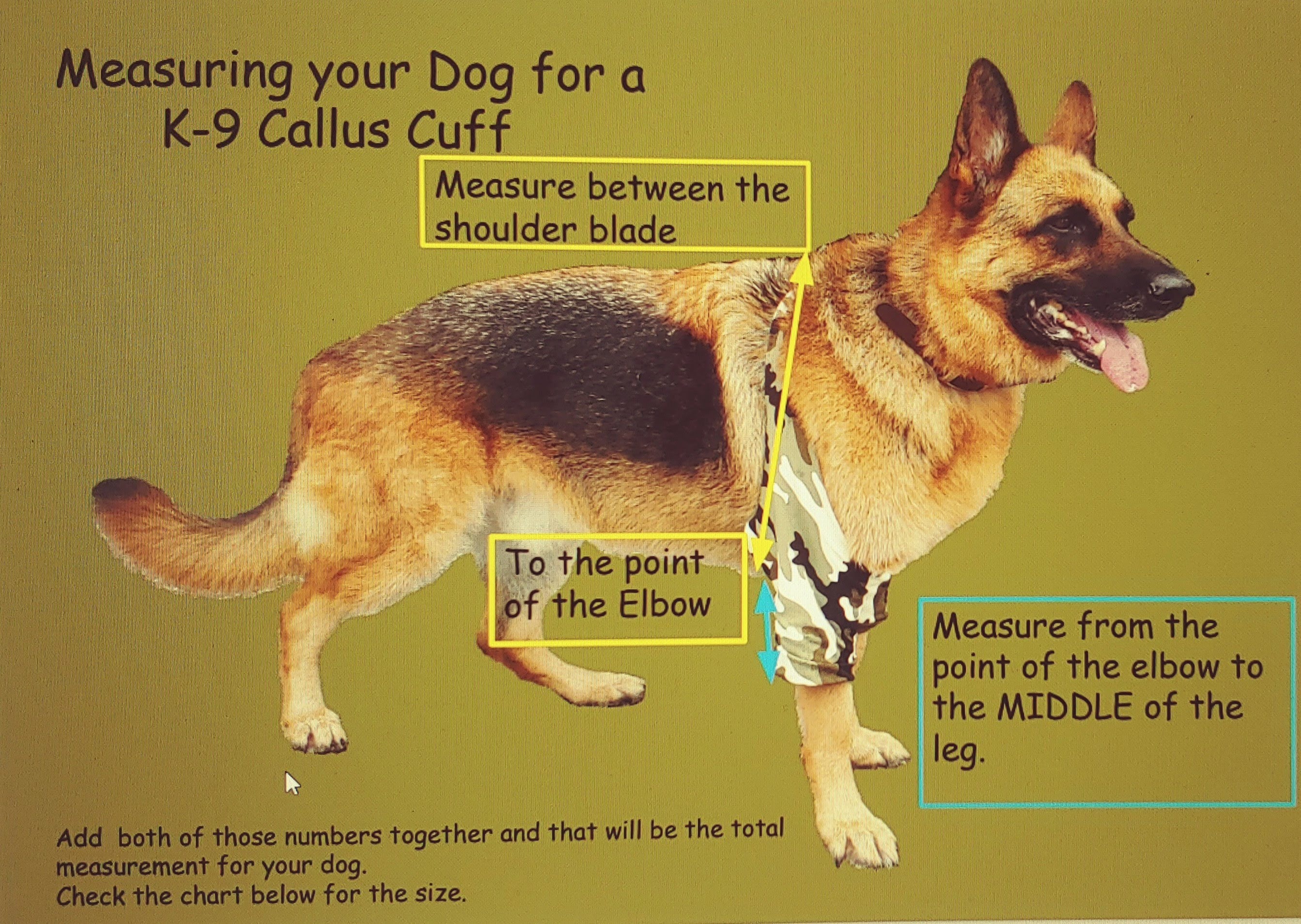 Are Calluses On Dogs Elbows Bad