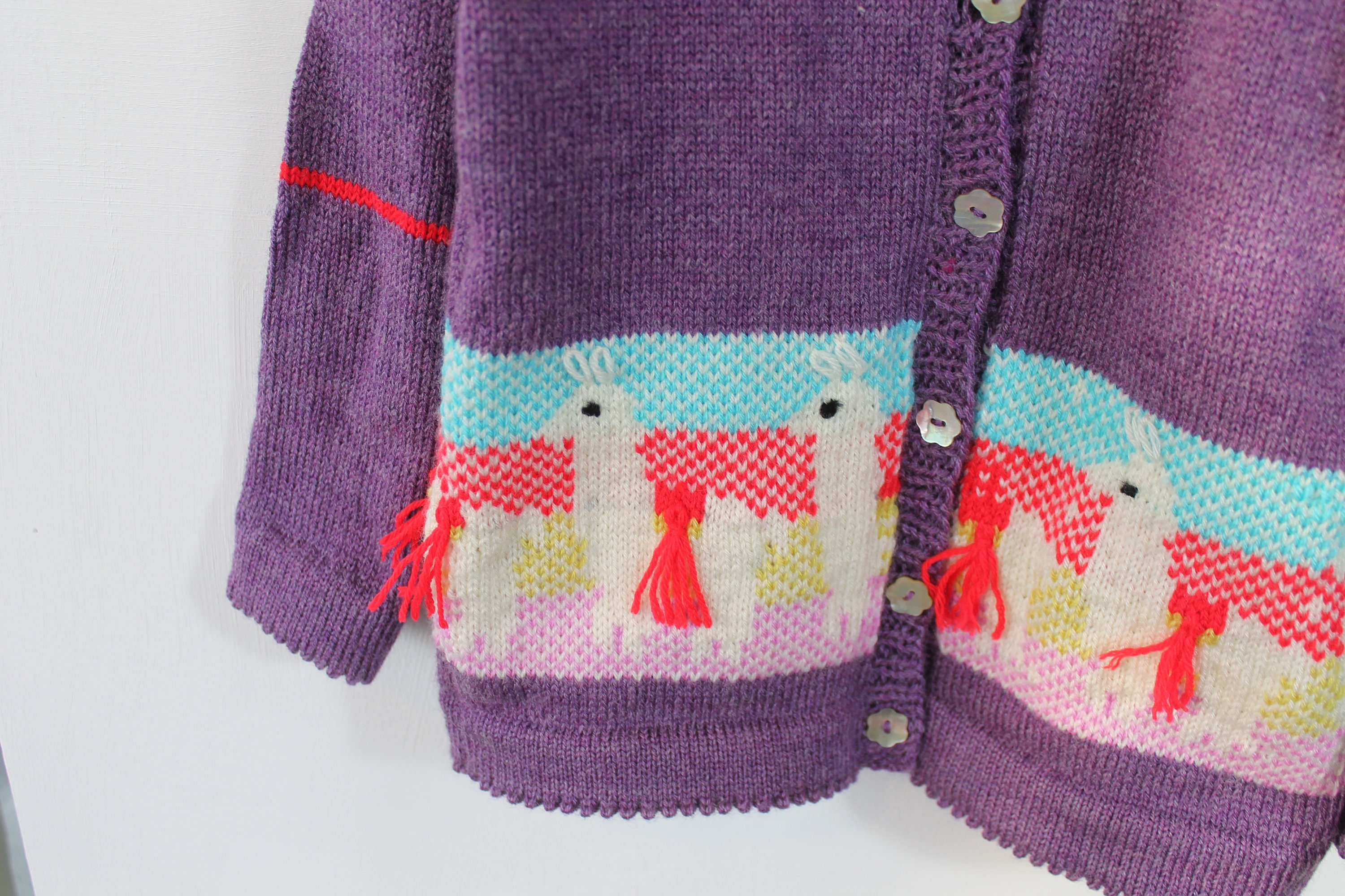 Knitted Cardigan for a 5-6 Year Girl With Alpaca Design. Animal ...