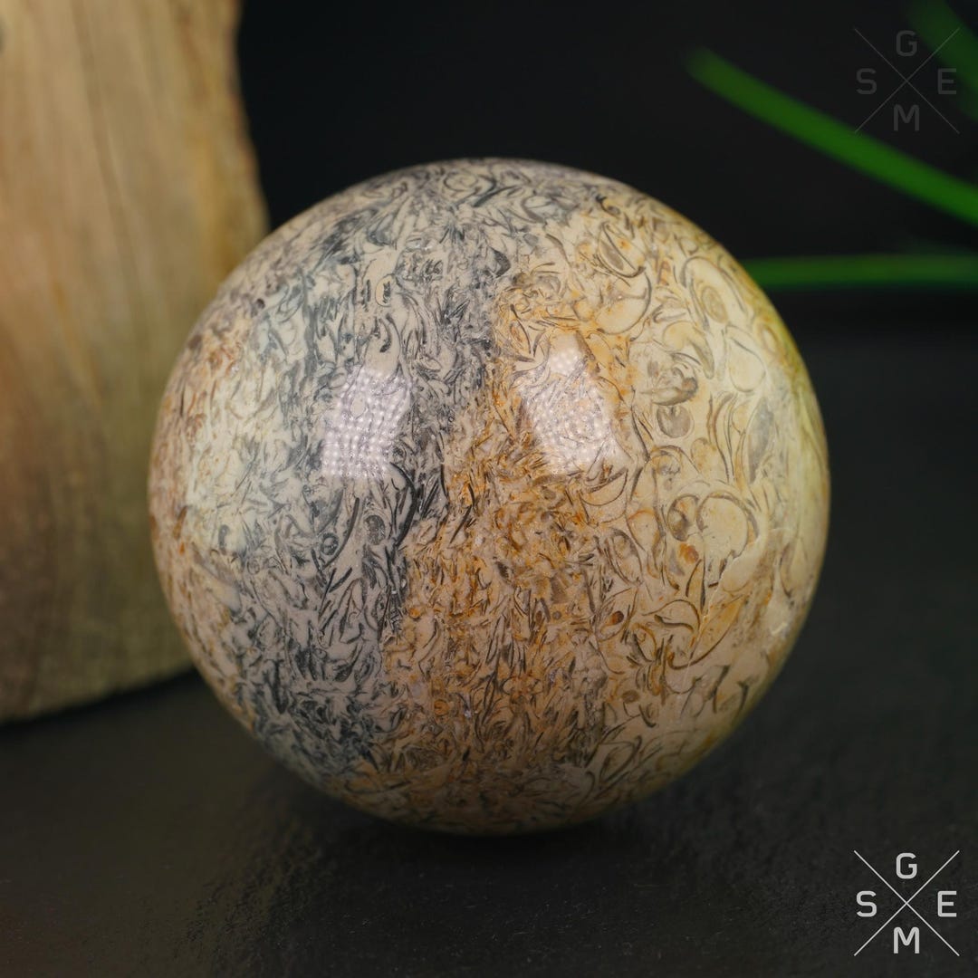 Dinosaur Bone Natural Fossil Ball 178g. Awesome Carved Sphere ...