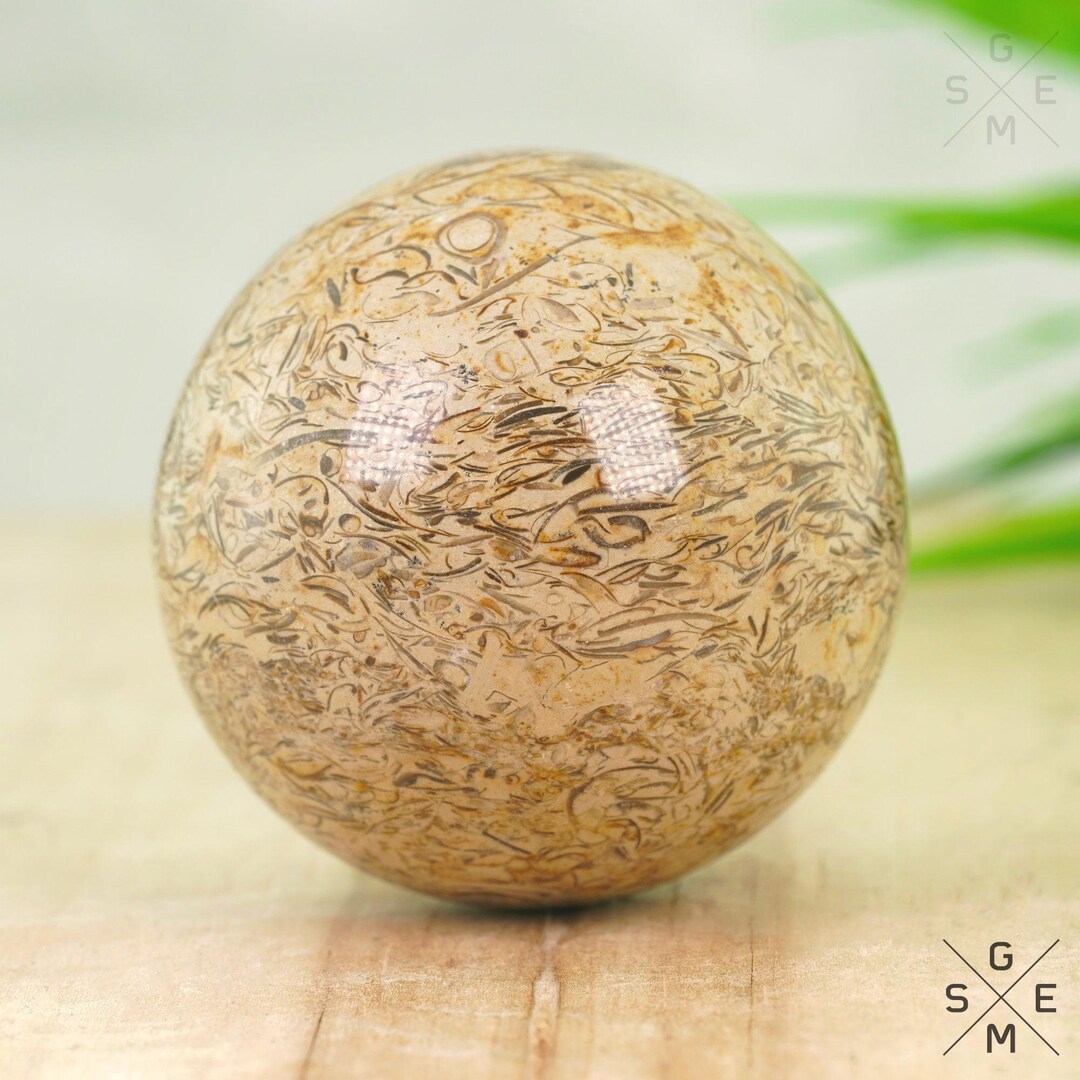 Dinosaur Bone Natural Fossil Ball 218g. Awesome Carved Sphere ...