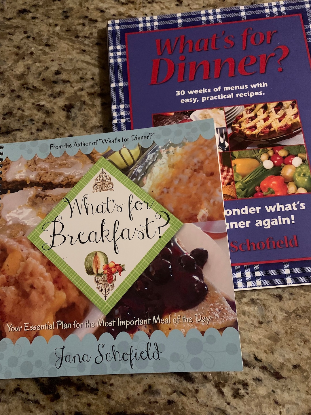 Breakfast Menus Plus BONUS Dinner Menus FREE - Etsy