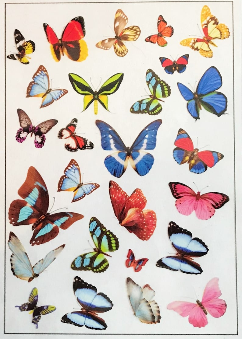 Butterfly Flaps Fairy Wings Transparent Image Sheet Epoxy - Etsy