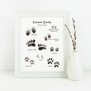 Printable Animal Wall Art - Animal Tracks Poster - Woodland Nursery ...