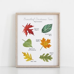 Printable Leaf Wall Art Set of 2 for Home Learning Room or Playroom ...