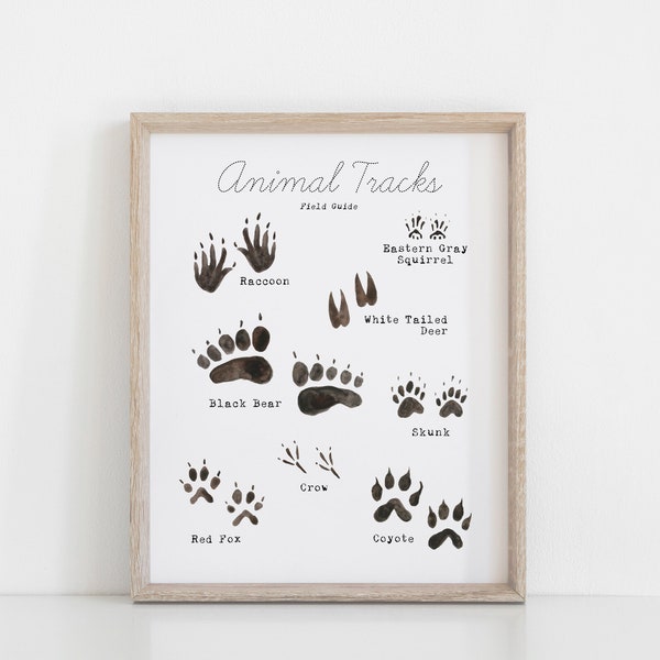 Woodland Animal Tracks Printable - Etsy