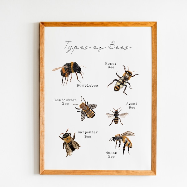 Bee Poster - Etsy