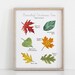 Printable Leaf Wall Art Set of 2 for Home Learning Room or - Etsy