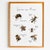 Educational Bug Poster for Home Classroom & Nursery Insect Wall Art ...