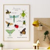 Printable Bug Wall Art - Insect Field Guide Print - Homeschool Decor ...