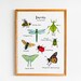 Printable Insect Wall Art Insect Field Guide Print | Etsy