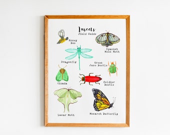 Insect chart | Etsy