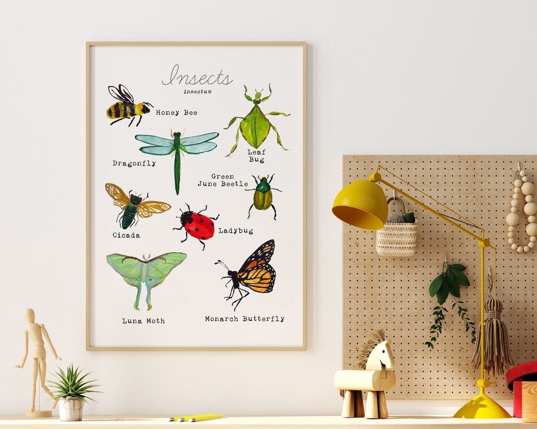 Educational Bug Poster for Home Classroom & Nursery - Insect Wall Art ...