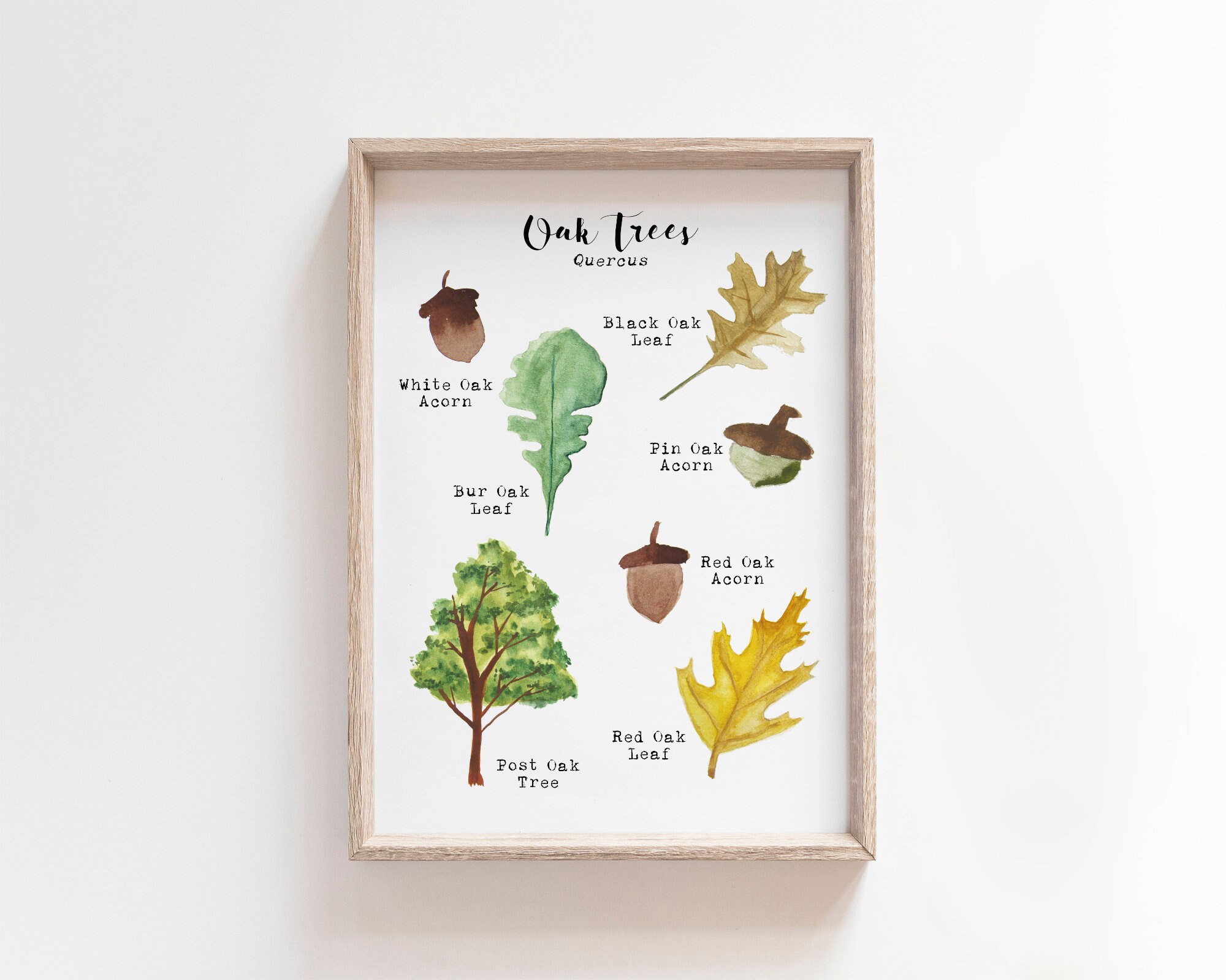 Printable Tree Art Oak Tree Print Leaf Wall Art Acorn - Etsy