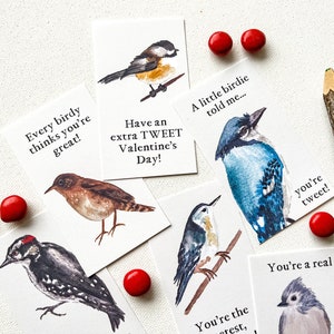 Bird Valentine Cards - Mini Cards for Classroom Valentine's Day Parties ...