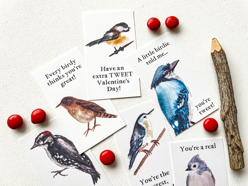 Bird Valentine Cards - Mini Cards for Classroom Valentine's Day Parties ...