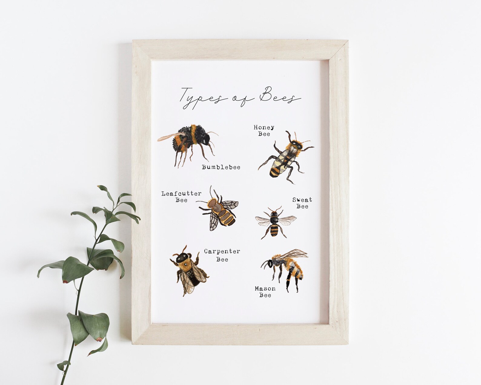 Printable Bee Art Print - Types of Bees Poster - Bug Print - Homeschool ...