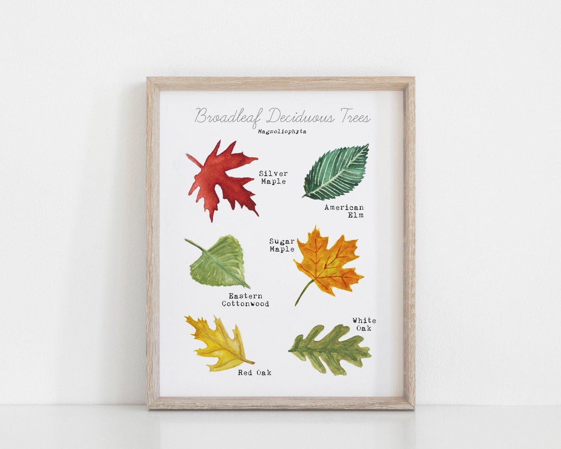 Printable Leaf Wall Art Set of 2 for Home Learning Room or | Etsy