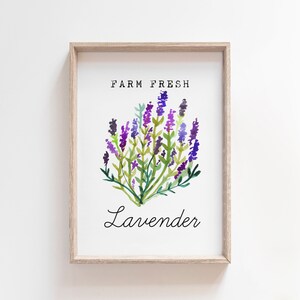 Printable Lavender Art Print - Farm Fresh Lavender Sign - Lavender Home ...
