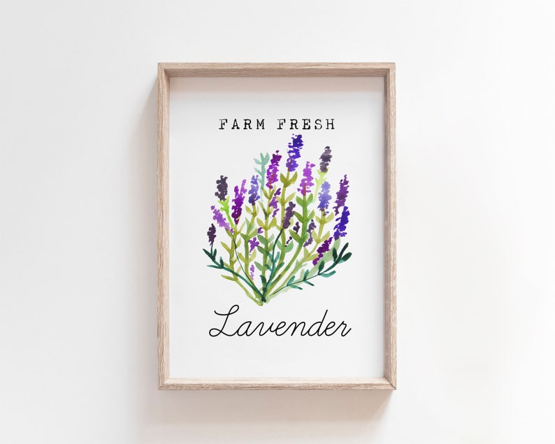 Printable Lavender Art Print Farm Fresh Lavender Sign | Etsy