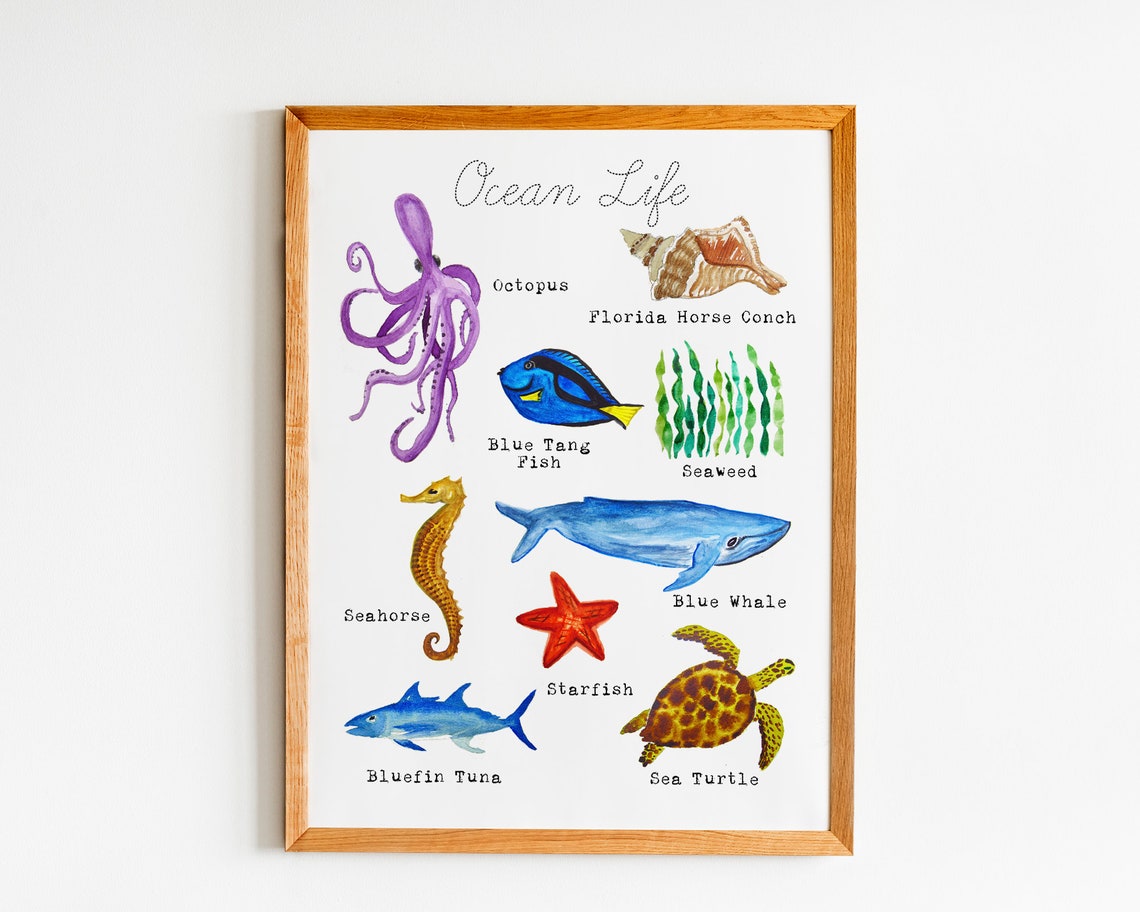 Printable Ocean Wall Art Ocean Art Print Sea Life Wall Art - Etsy