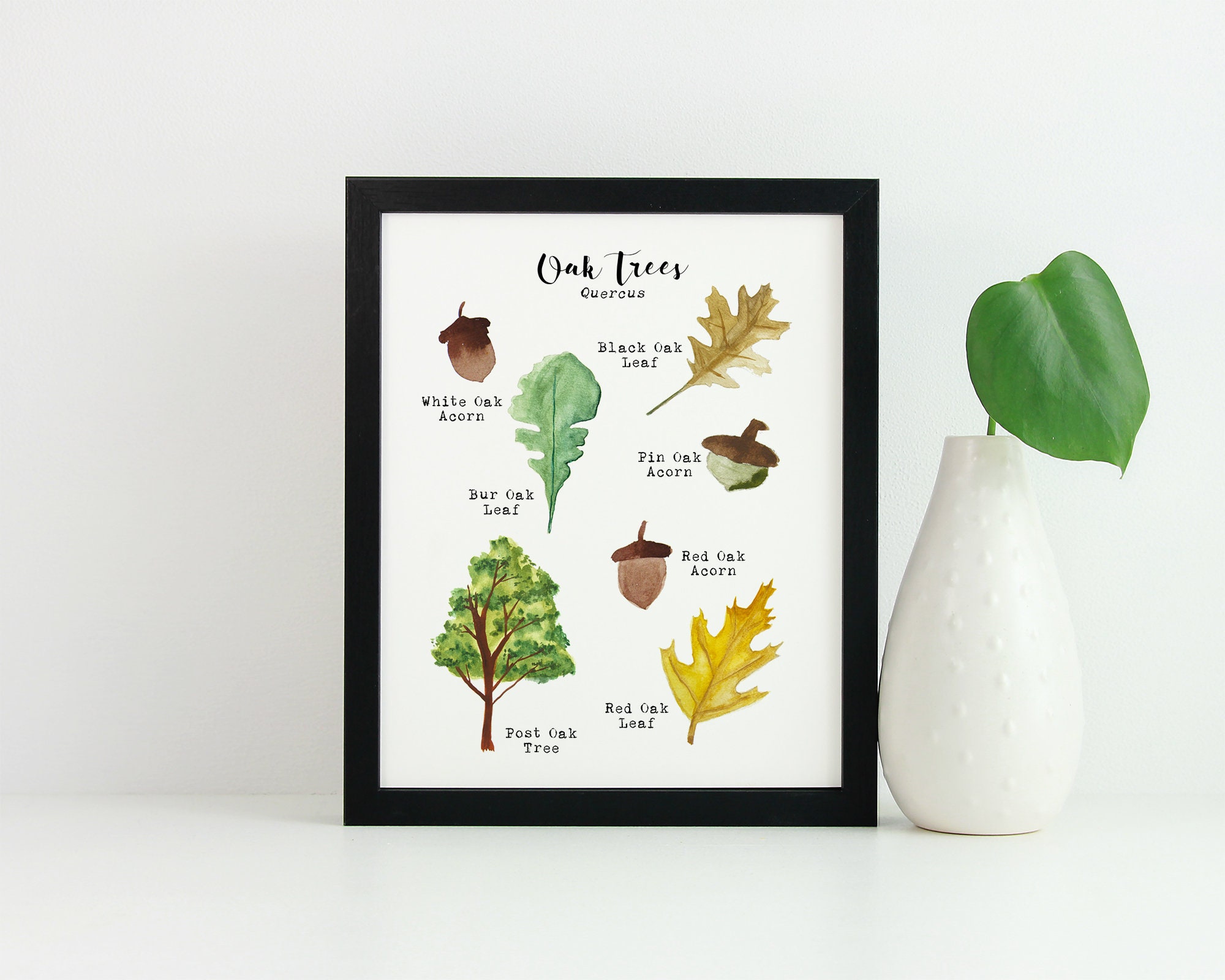 Printable Tree Art Oak Tree Print Leaf Wall Art Acorn - Etsy