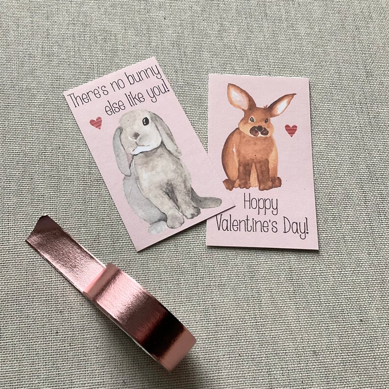 Printable Bunny Valentine Cards for Kids Rabbit Valentines | Etsy