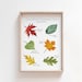 Printable Leaf Wall Art Set of 2 for Home Learning Room or - Etsy