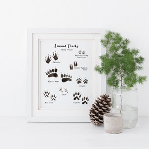 Printable Animal Wall Art - Animal Tracks Poster - Woodland Nursery ...