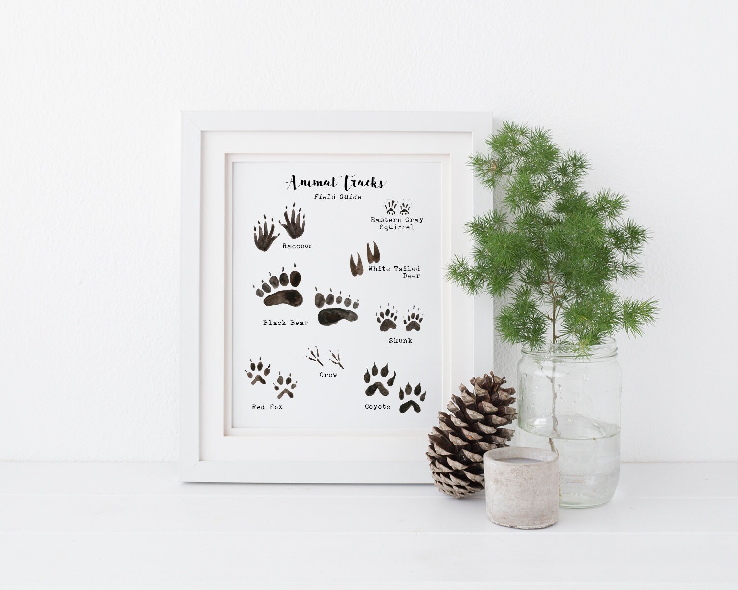 Printable Animal Wall Art Animal Tracks Poster Woodland | Etsy