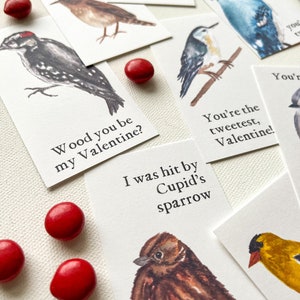 Bird Valentine Cards - Mini Cards for Classroom Valentine's Day Parties ...
