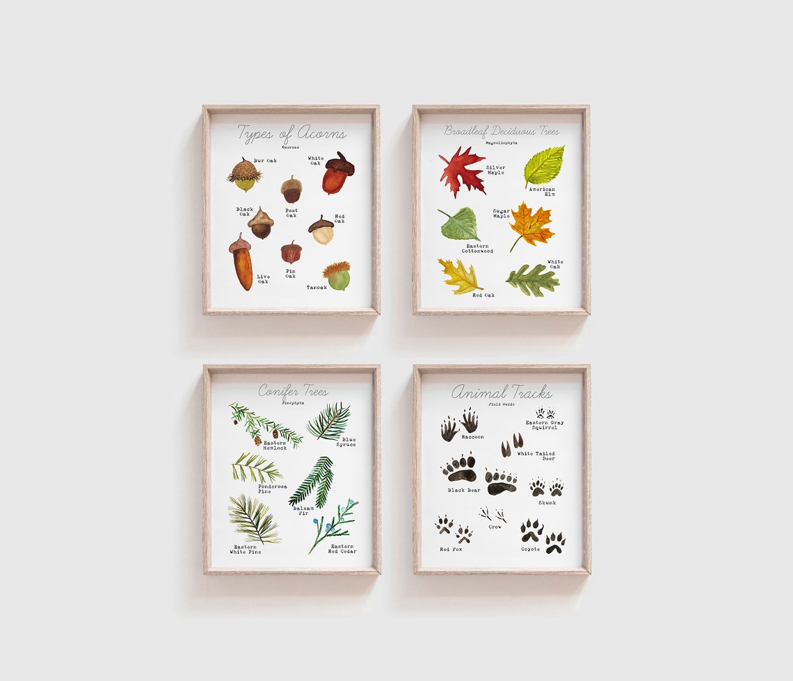 At Home Learning Printables Set of 12 Wall Decor for | Etsy