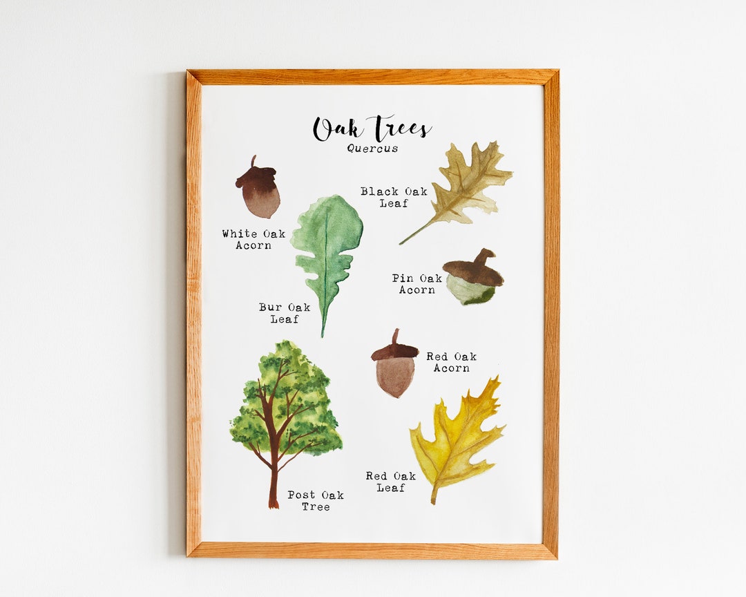Printable Tree Art - Oak Tree Print - Leaf Wall Art - Acorn Art ...