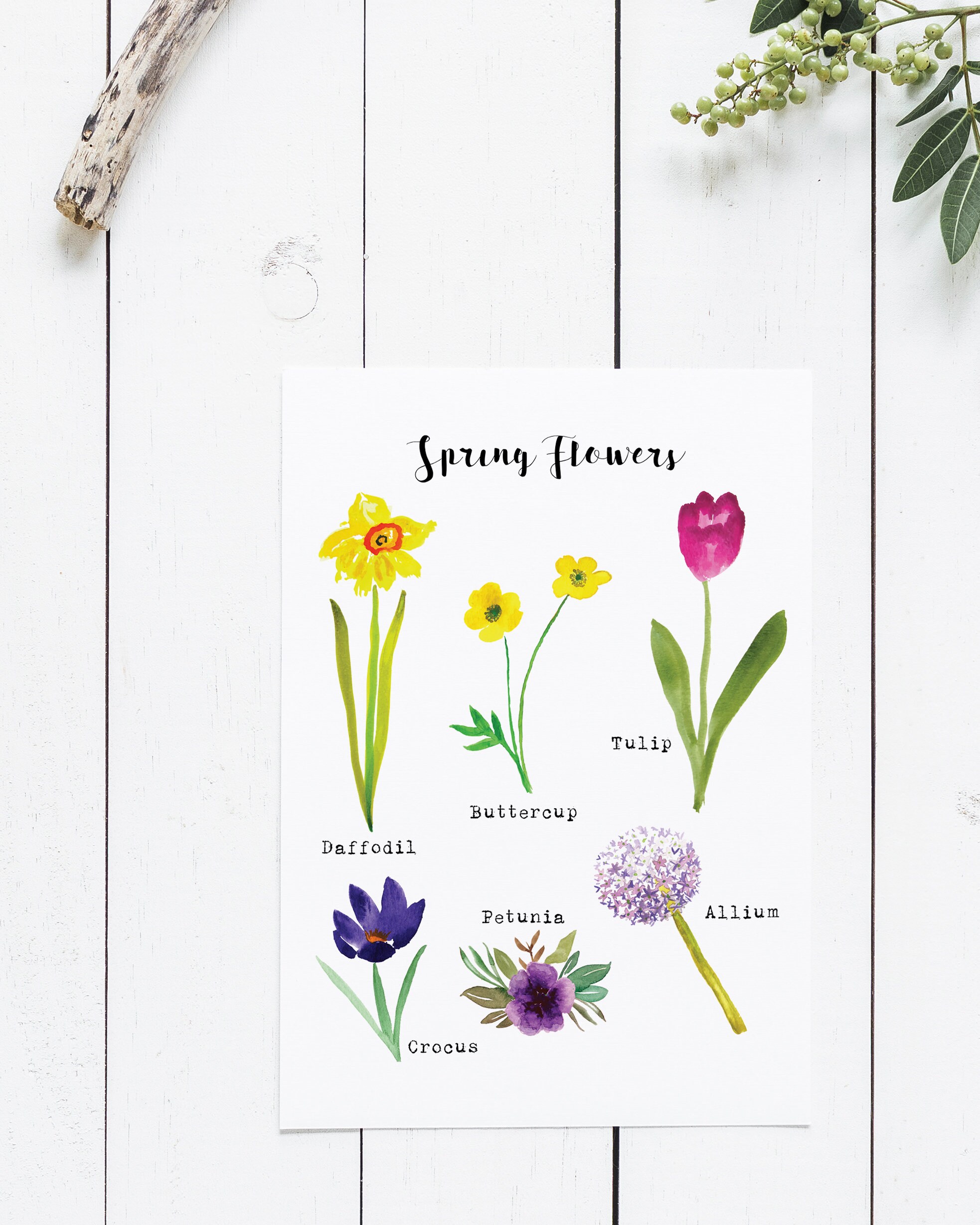 Printable Spring Flowers Art Print Educational Wall Art for | Etsy