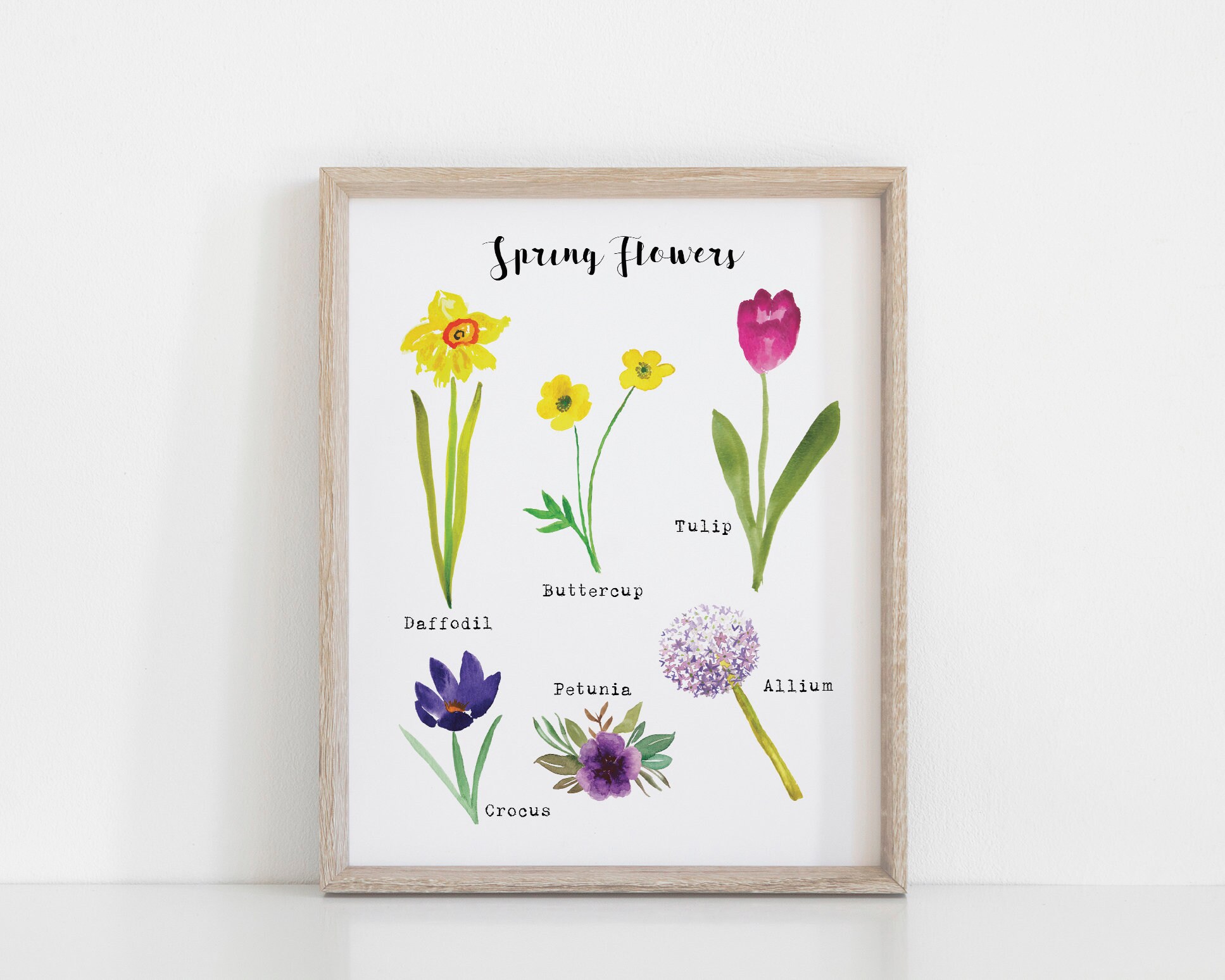 Printable Spring Flowers Art Print Educational Wall Art for | Etsy